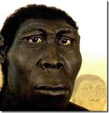 La era Cuaternaria o Cenozoica - Ciencia Explicada